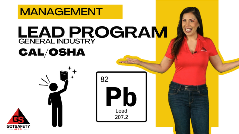 Navigating the New Lead Standards 2025 – GotSafety.com